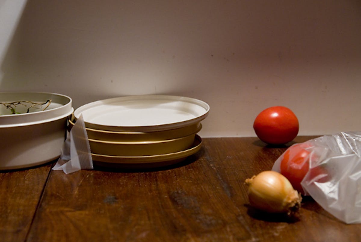 Catarina Botelho – Fotomuseum Winterthur