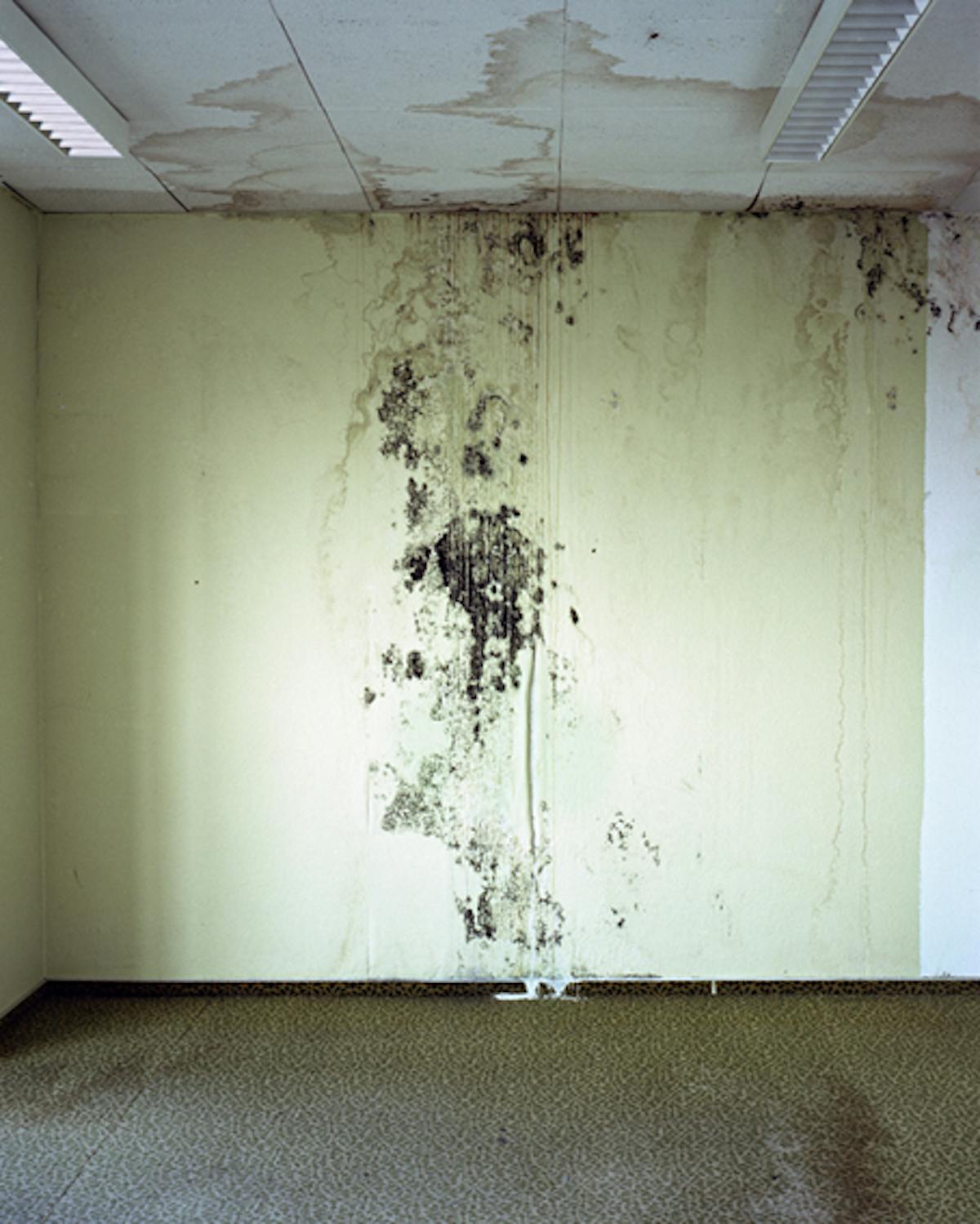 Maya Rochat – Fotomuseum Winterthur