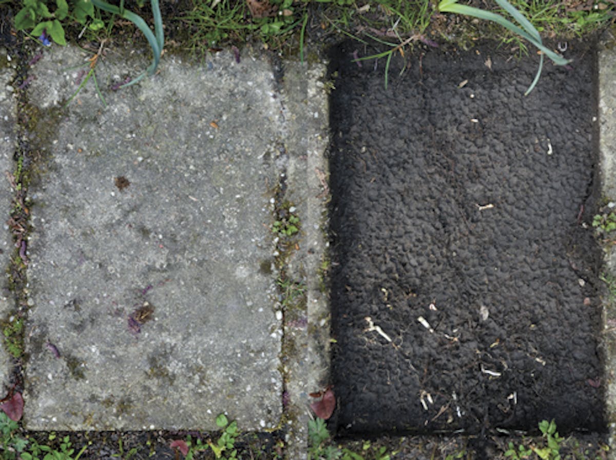 Anne Geene – Fotomuseum Winterthur