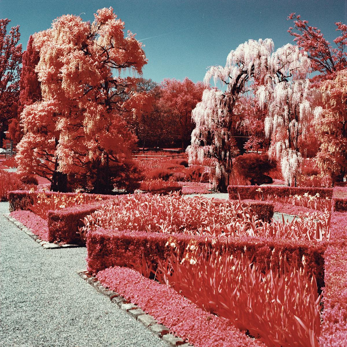 Eva Linder – Fotomuseum Winterthur