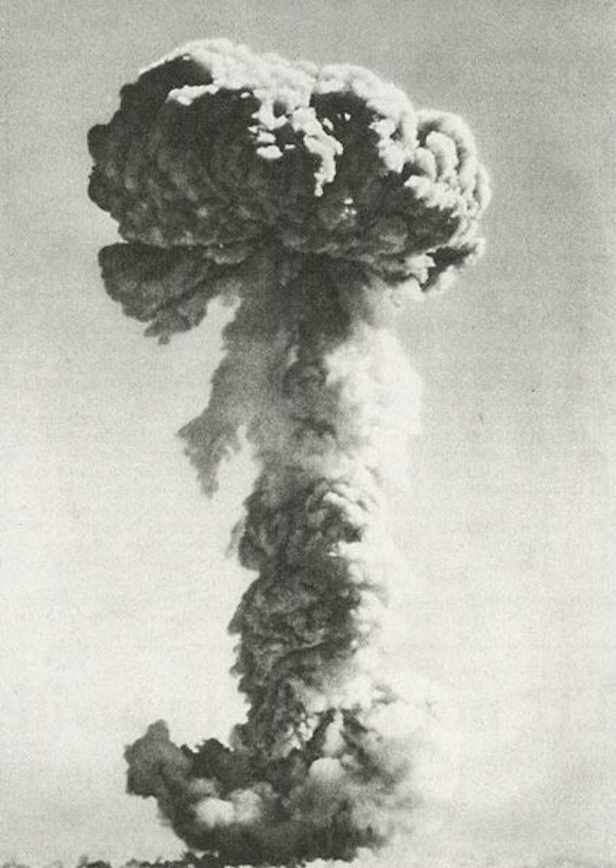 Atompilz – Fotomuseum Winterthur