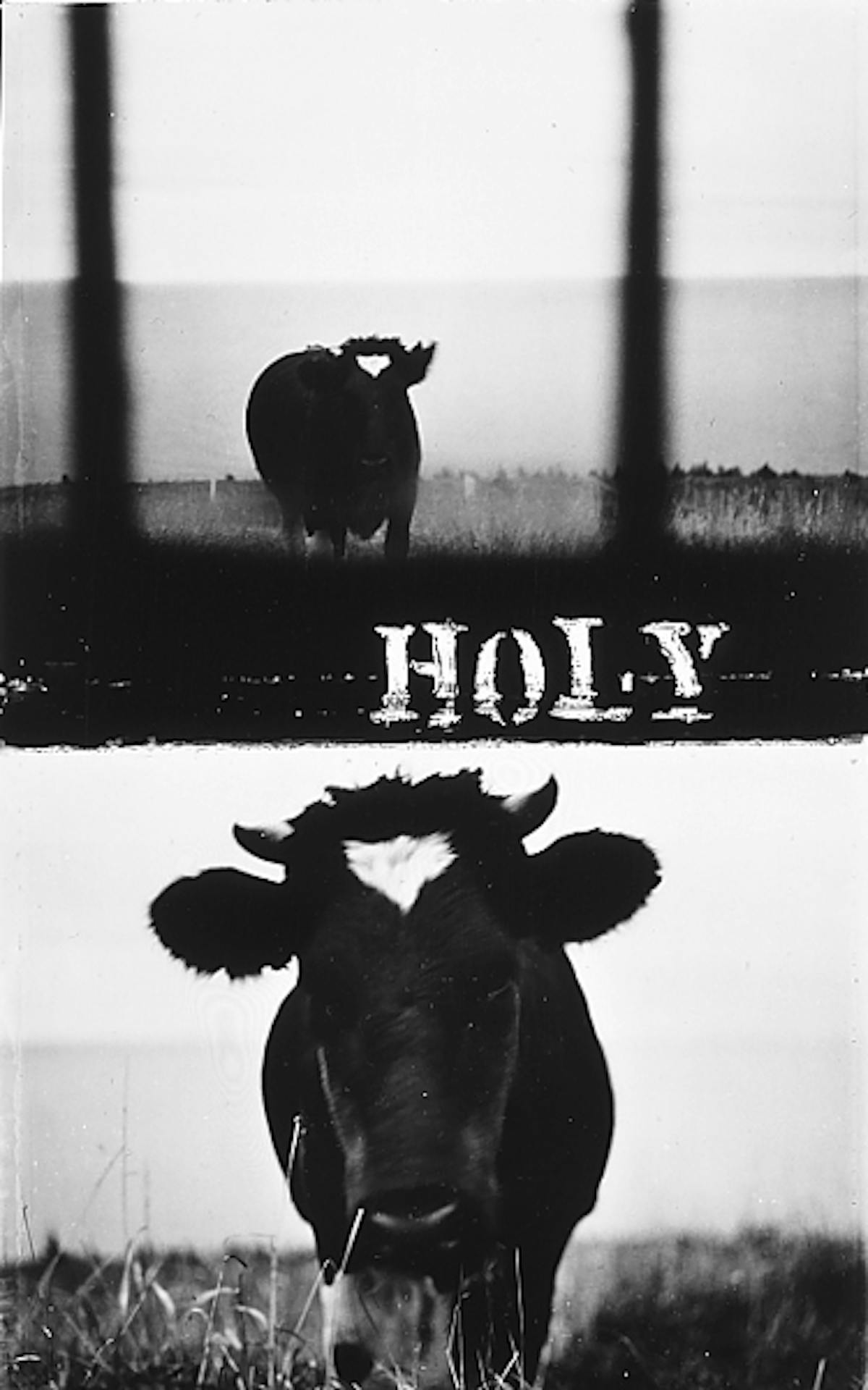 Holy Cow – Fotomuseum Winterthur